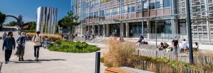 Université de Bordeaux : facultés, formations, adresse